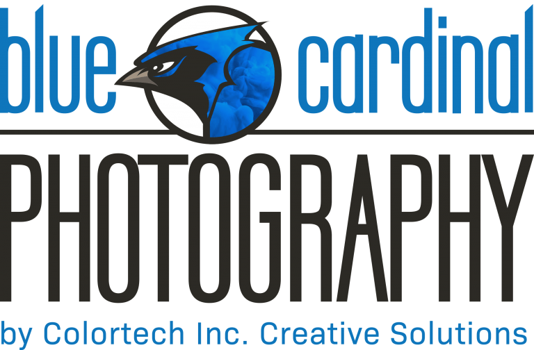Welcome to Blue Cardinal Photography - Blue Cardinal Photography
