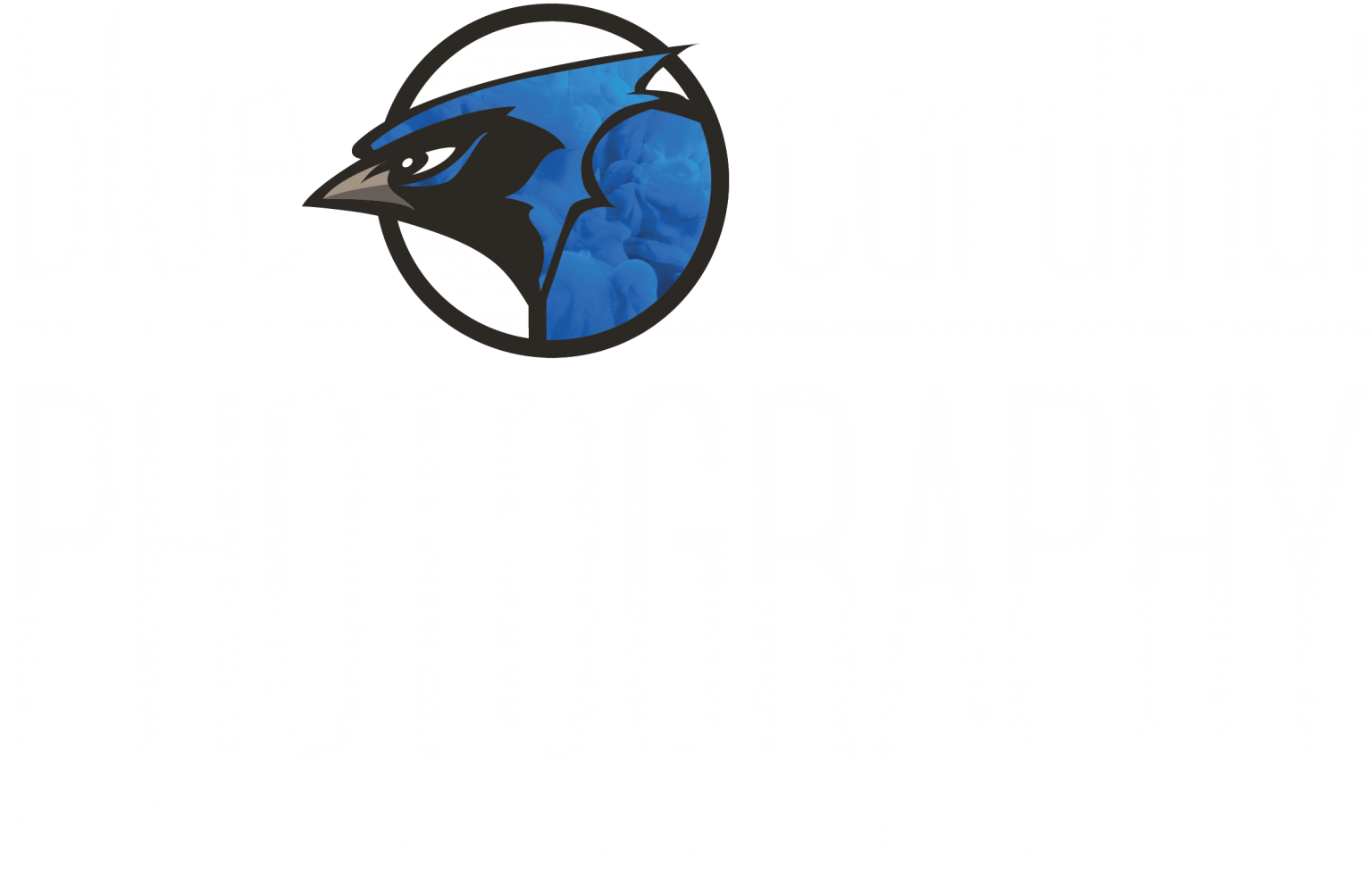 Welcome to Blue Cardinal Photography - Blue Cardinal Photography
